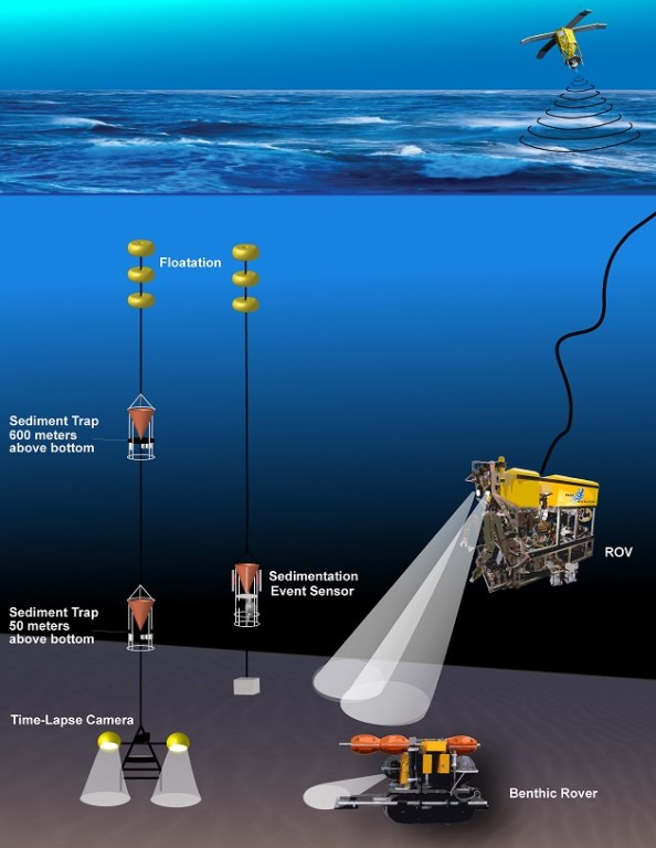 New papers describe discoveries at MBARI’s long-term deep-sea research ...