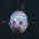 Researchers solve mystery of deep-sea fish with tubular eyes and ...
