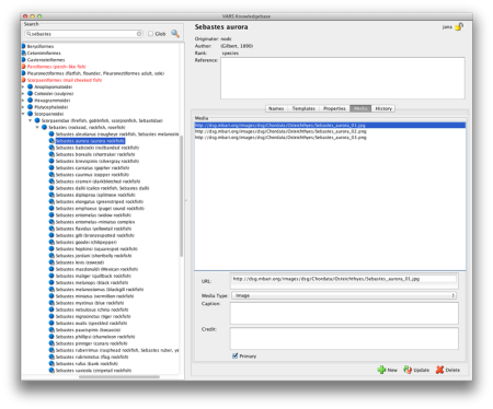 VARS: Knowledgebase • MBARI