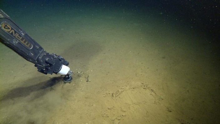 Push core sampling at the Vance Segment • MBARI