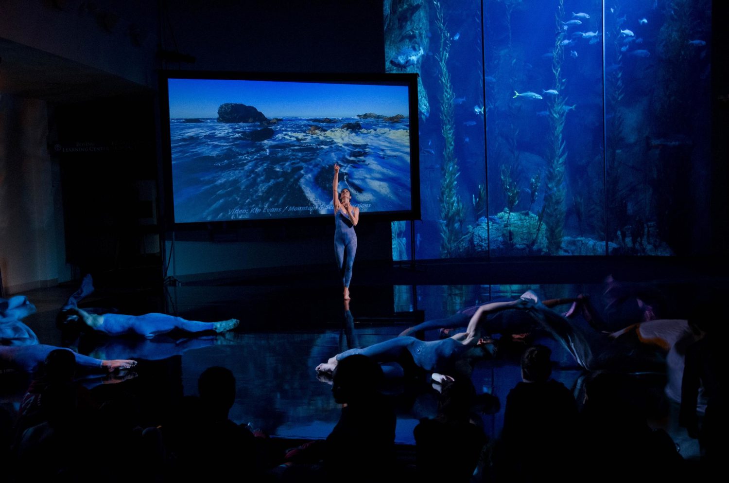 What happens when dance and science merge? • MBARI