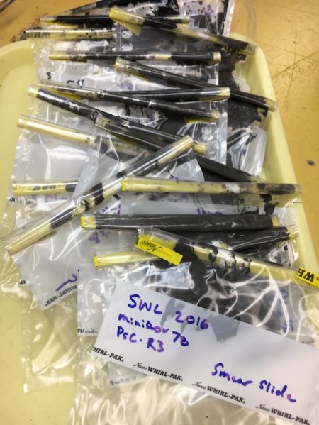 Push-core sampling and whale feeding marks • MBARI