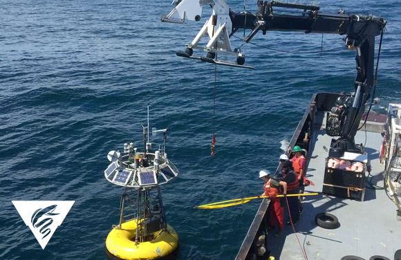 M1 mooring turnaround • MBARI