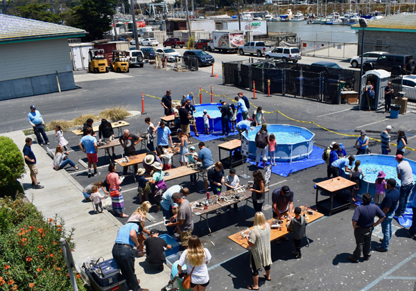 Photos from 2018 MBARI Open House • MBARI