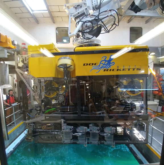 Bioinspiration Expedition 2019 - Log 1 • MBARI