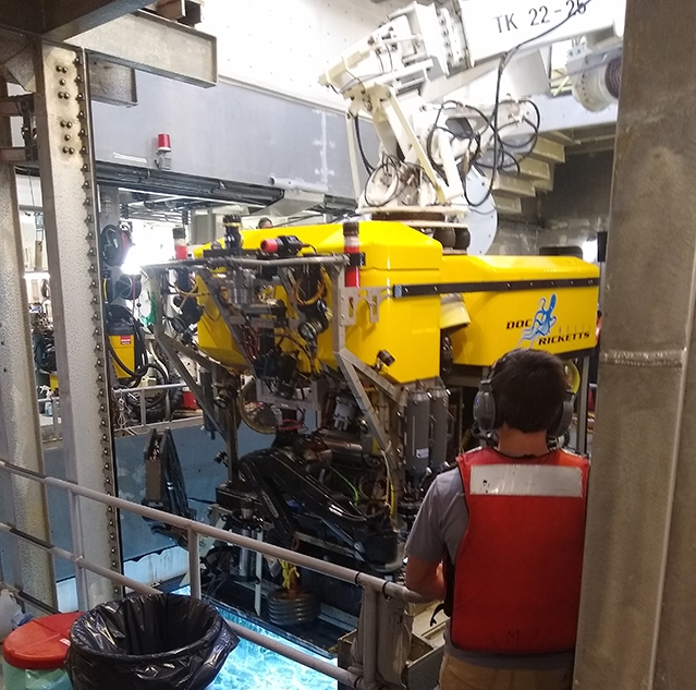 Seafloor Ecology Spring 2020 - Log 2 • MBARI
