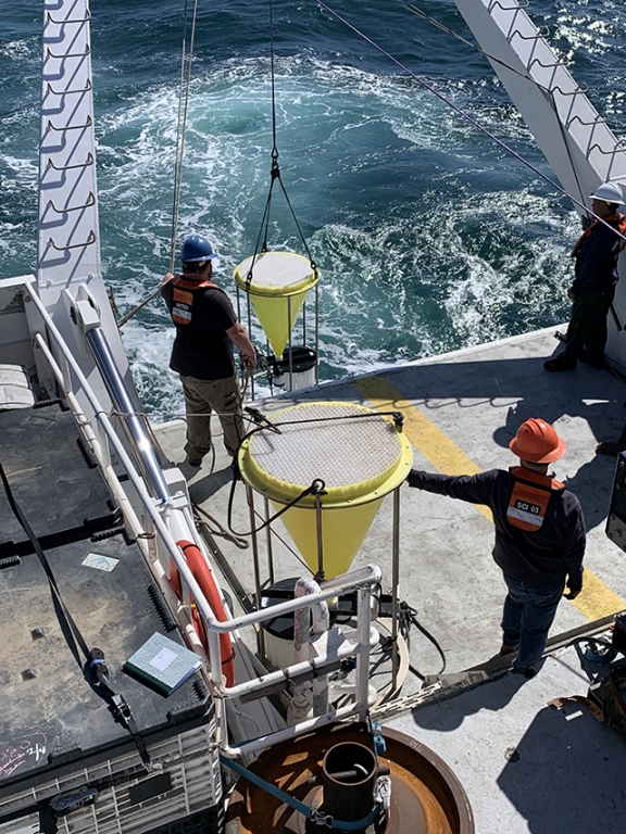 Seafloor Ecology Spring 2020 - Log 1 • MBARI