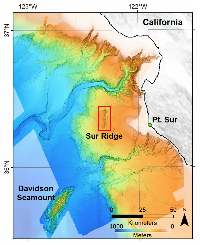 Revealing the secrets of Sur Ridge • MBARI