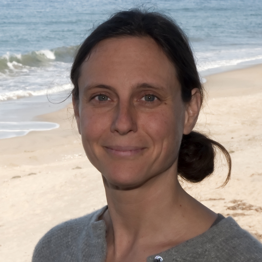 Get to know cephalopods: Natural history of the Cephalopoda • MBARI