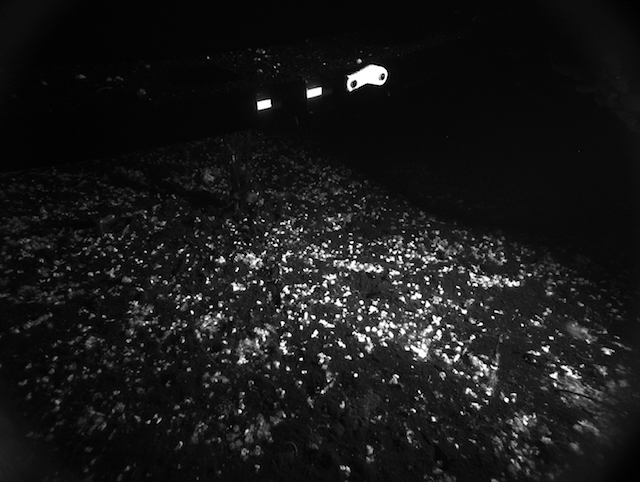 Autonomous robotic rover helps scientists with long-term monitoring of ...