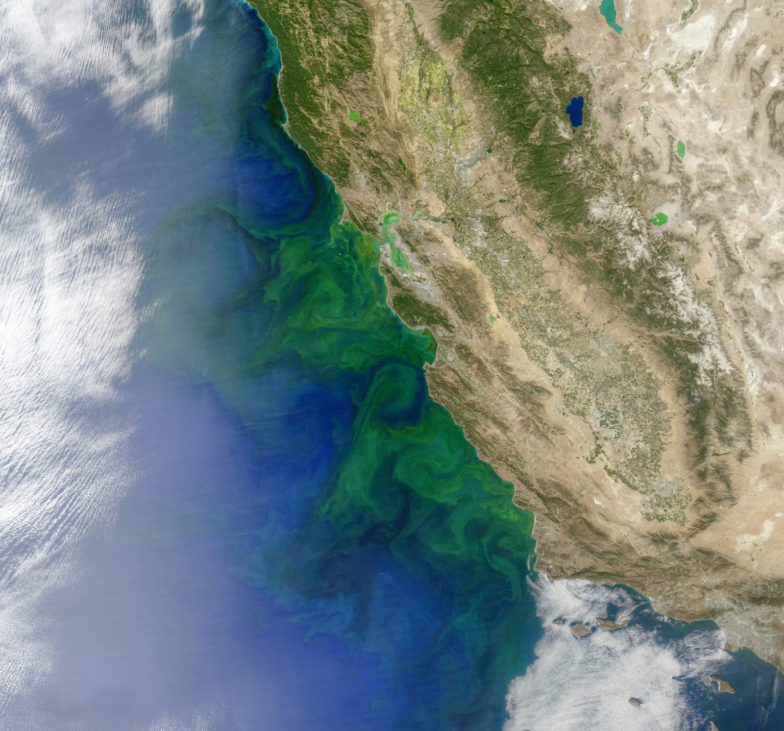 Exploring carbon export with ocean color • MBARI