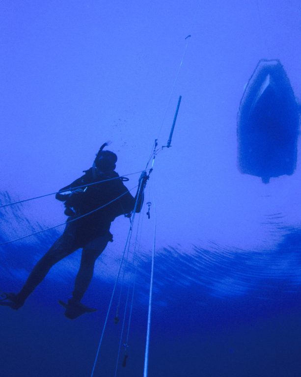 MBARI mourns the passing of visionary marine biologist William Hamner ...