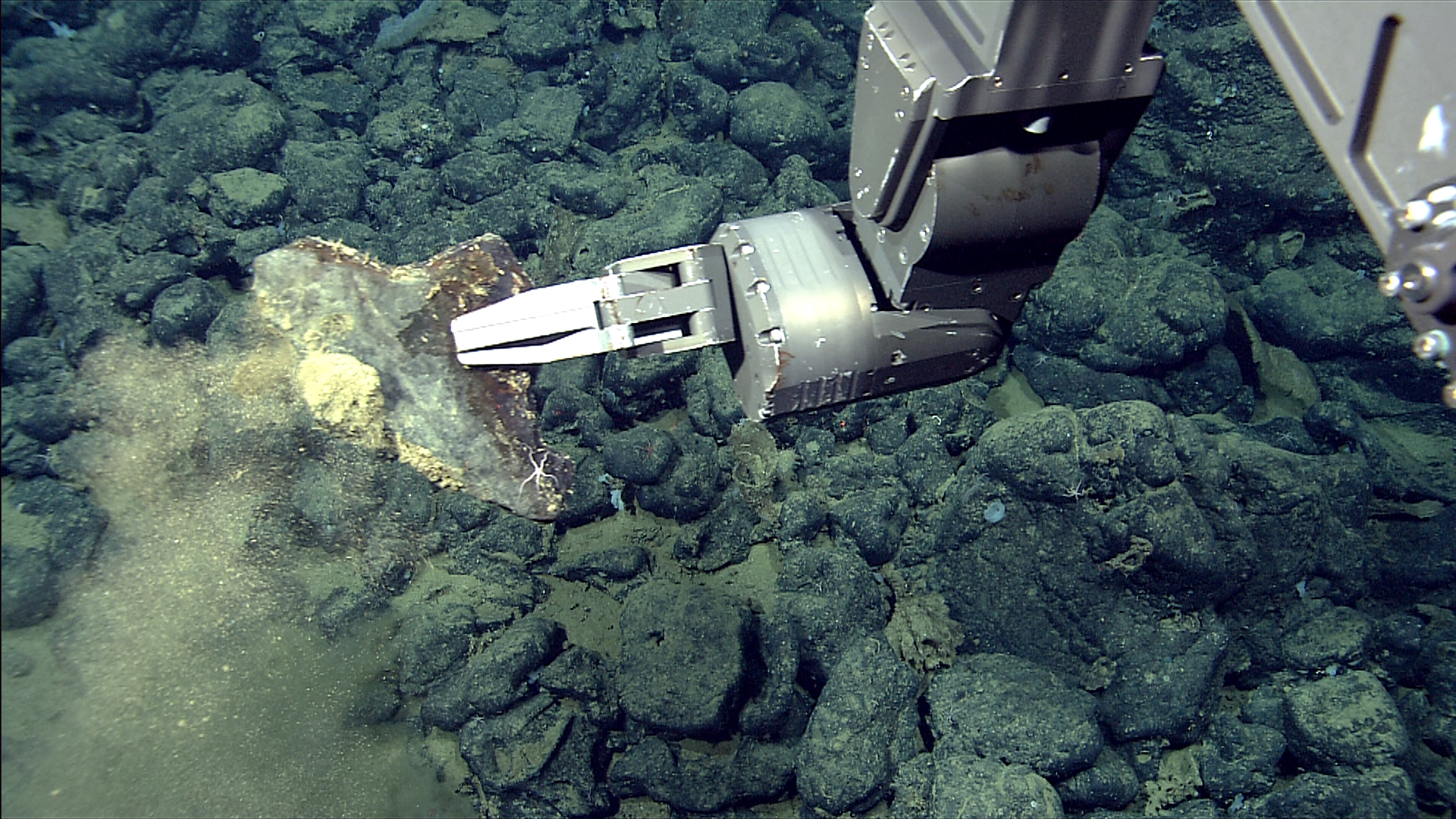 ROV Doc Ricketts • MBARI