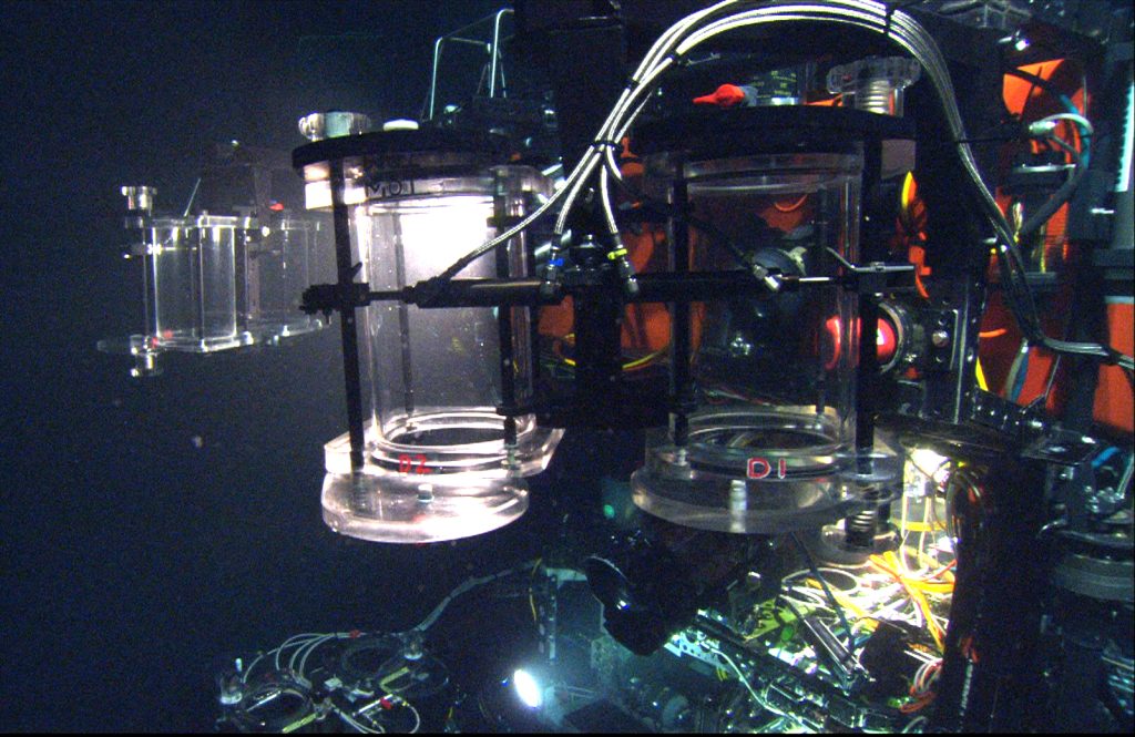 ROV Ventana • MBARI