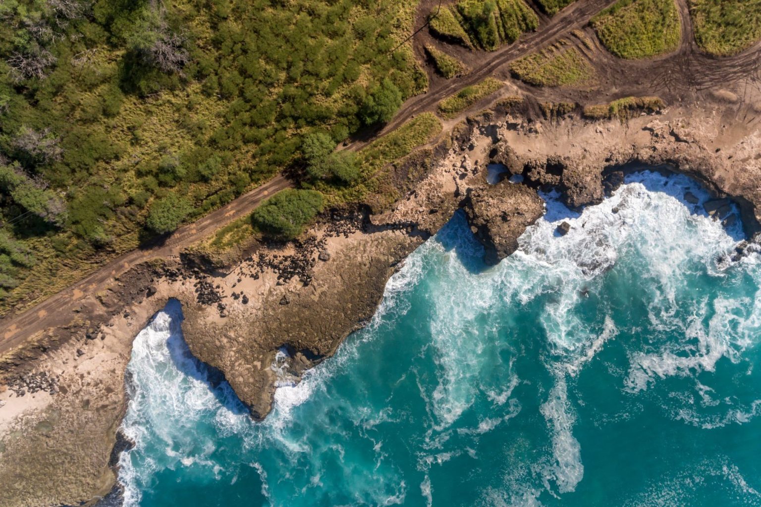 EARTH 2023: Honolulu, Hawaiʻi • MBARI