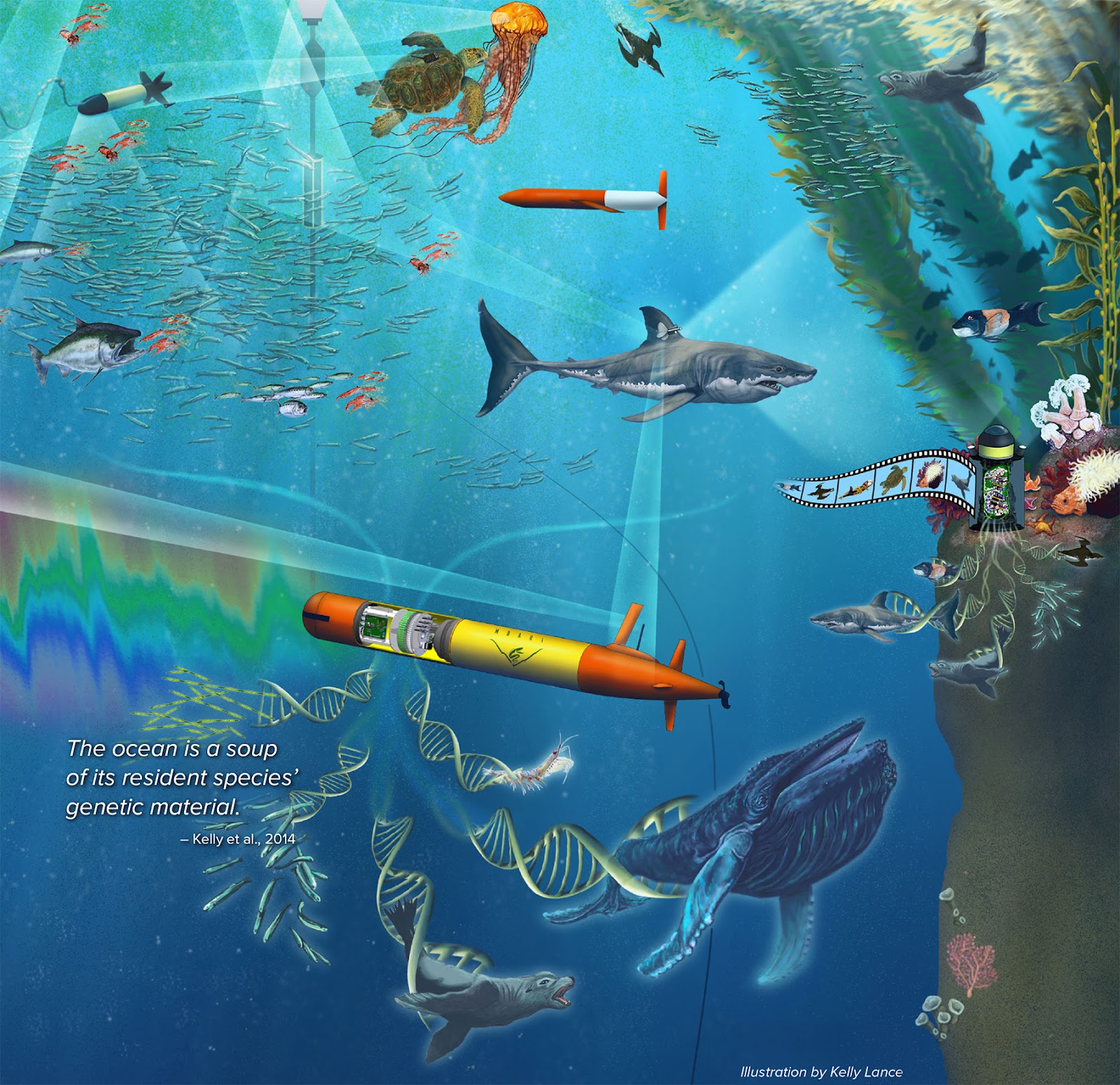 Environmental Genomics • MBARI