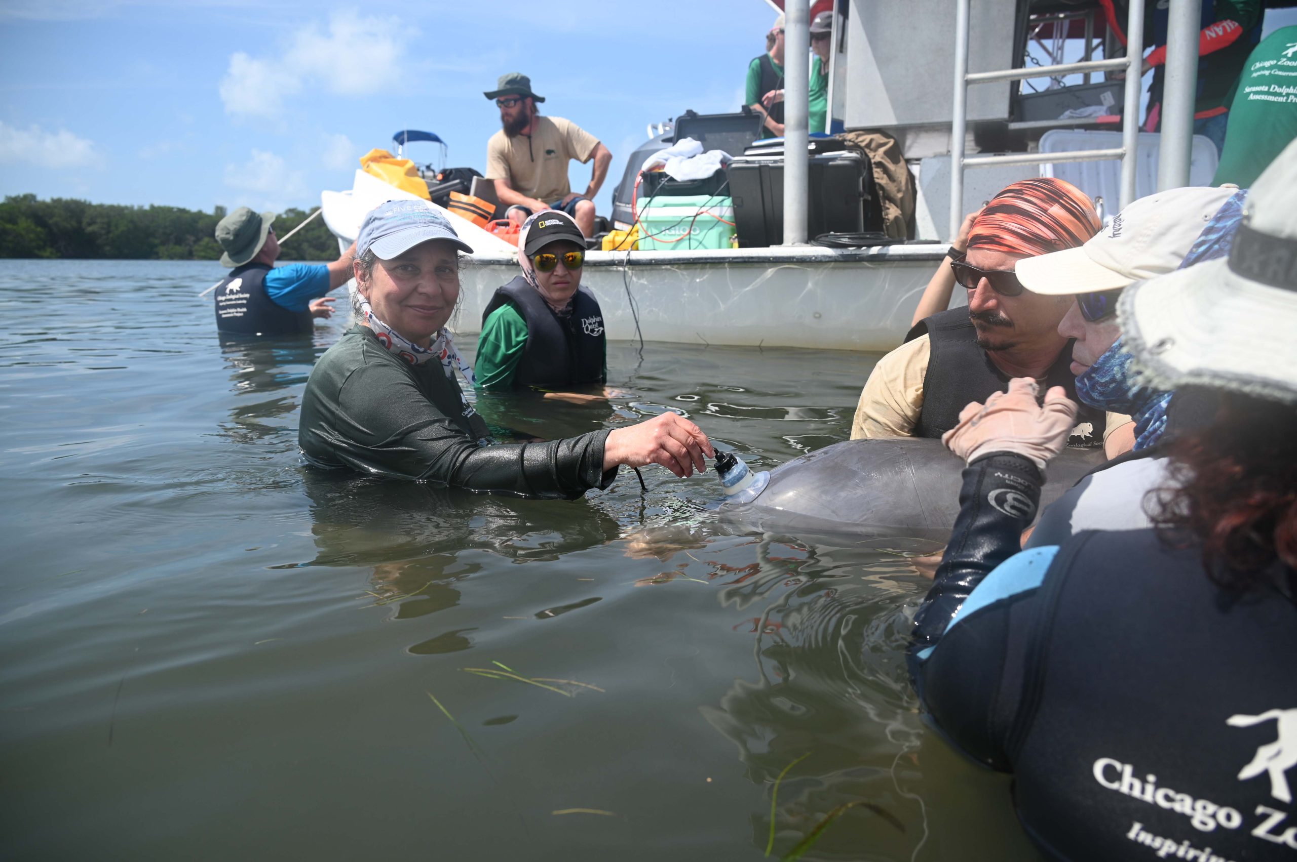 Canceled—Dolphin communication: past, present and future research ...