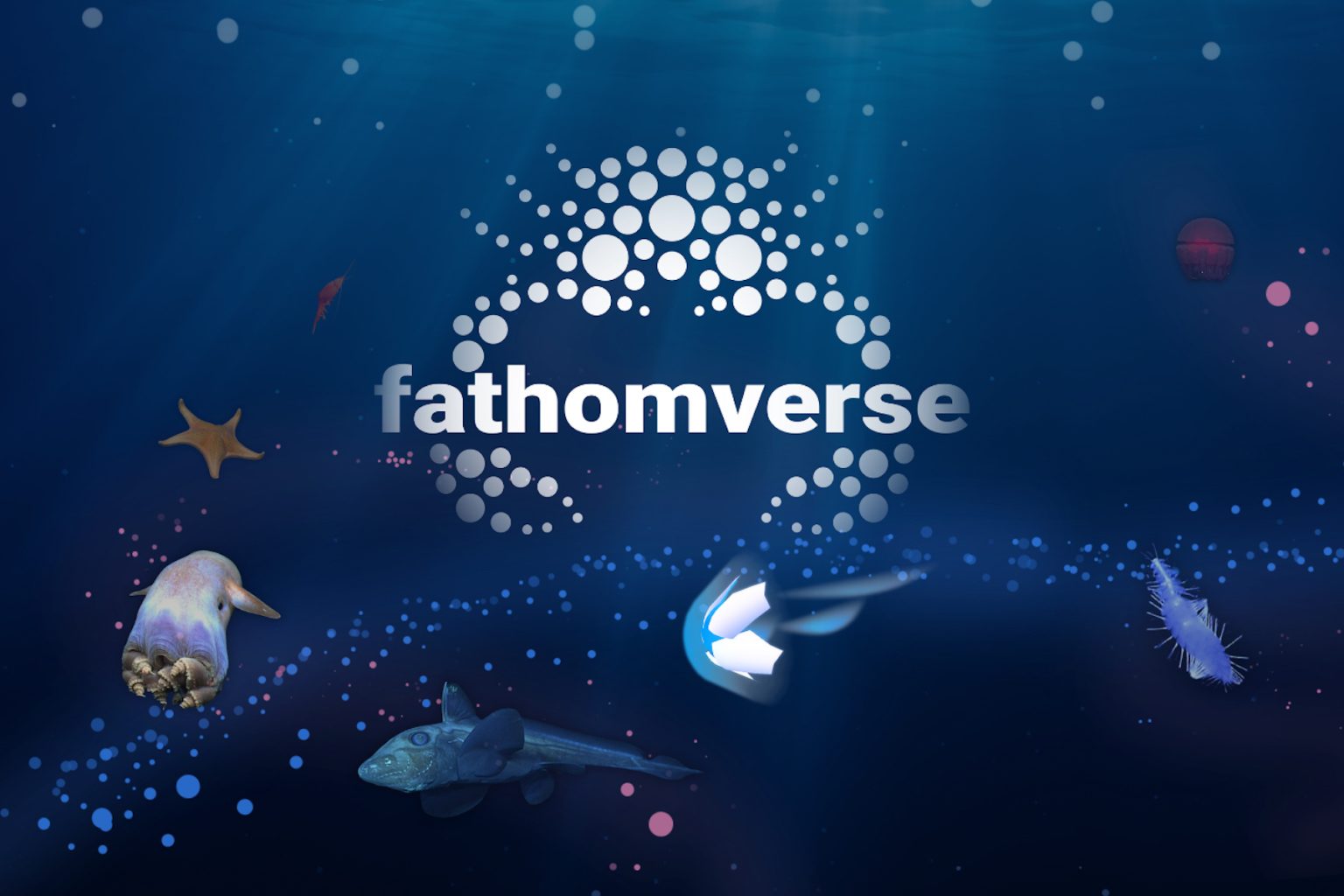 FathomVerse • MBARI