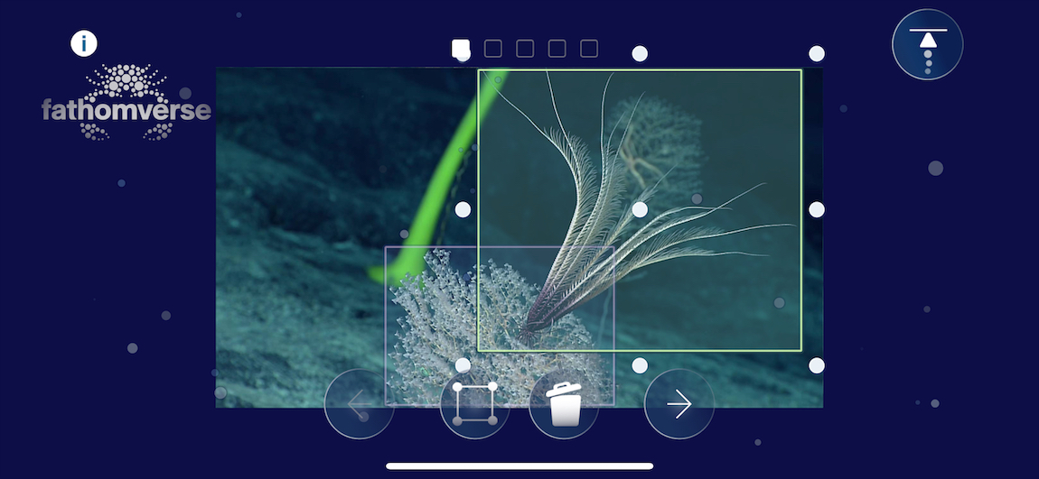 FathomVerse • MBARI