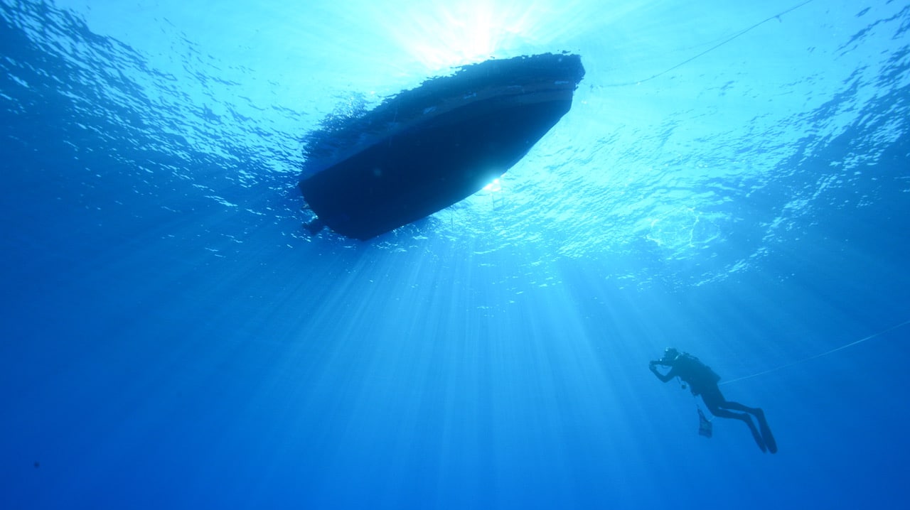 Biodiversity and Biooptics • MBARI