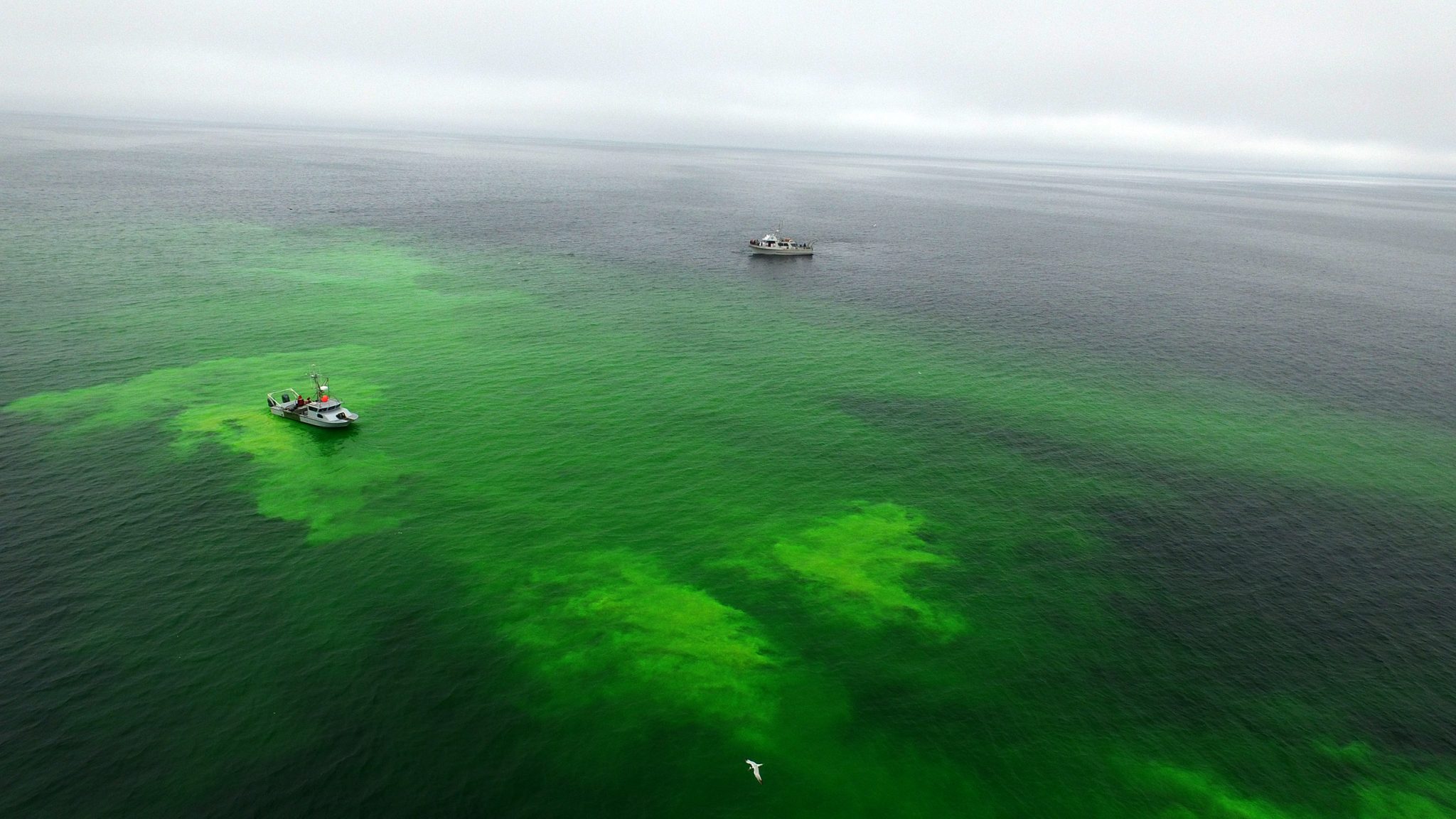 Uncrewed Aerial System (UAS) • MBARI