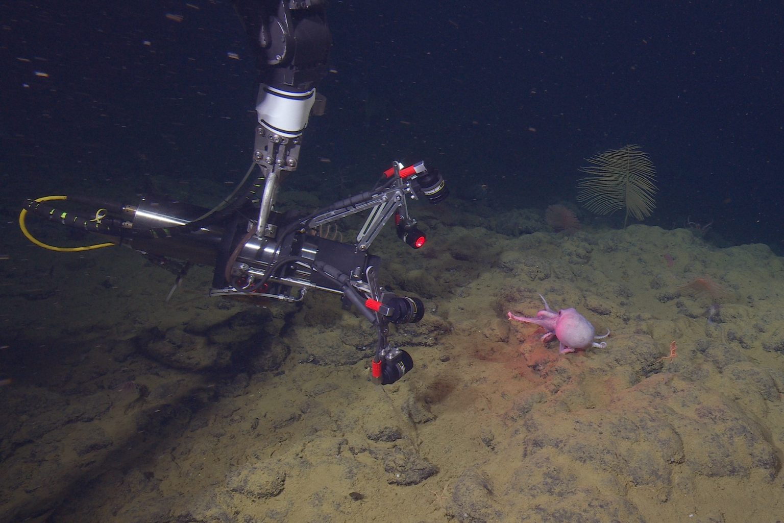 Homepage • MBARI