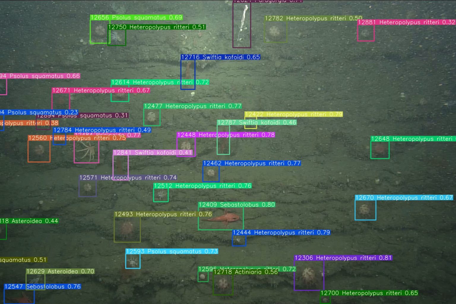 FathomVerse • MBARI