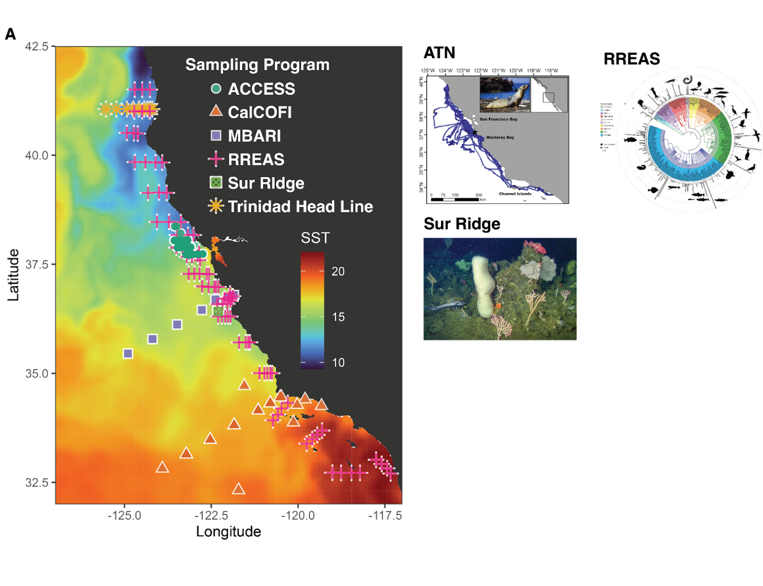 Marine Biodiversity Observation Network (MBON) • MBARI