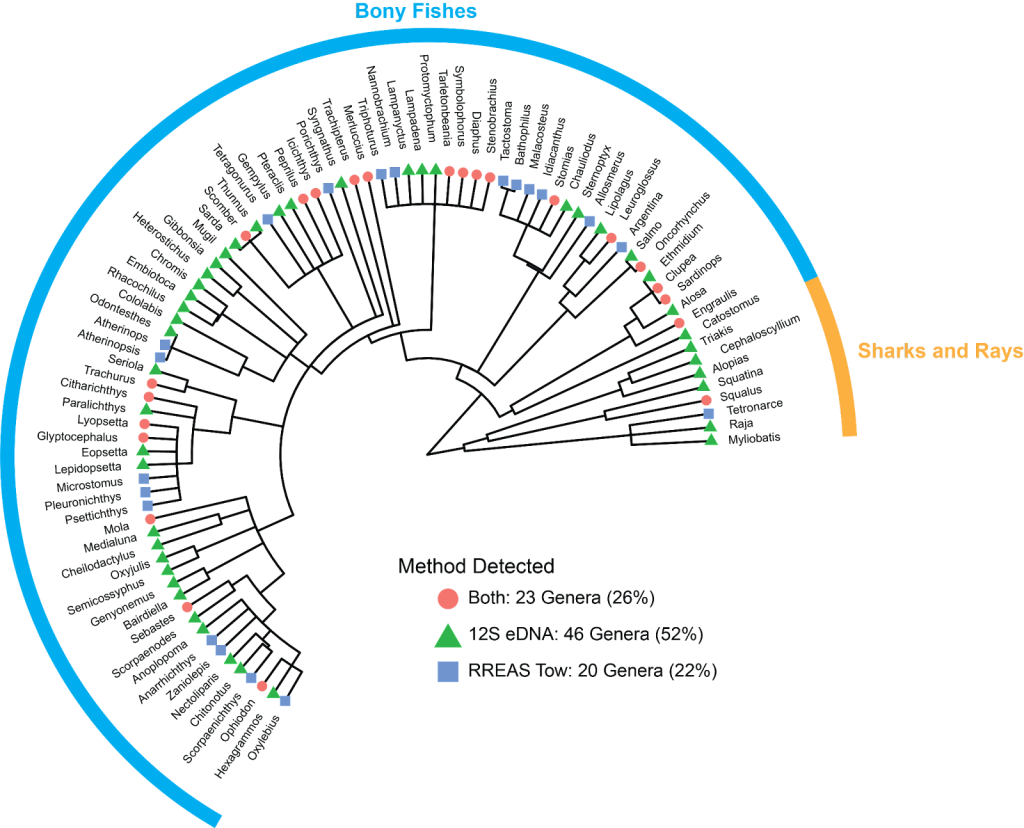 Marine Biodiversity Observation Network (MBON) • MBARI
