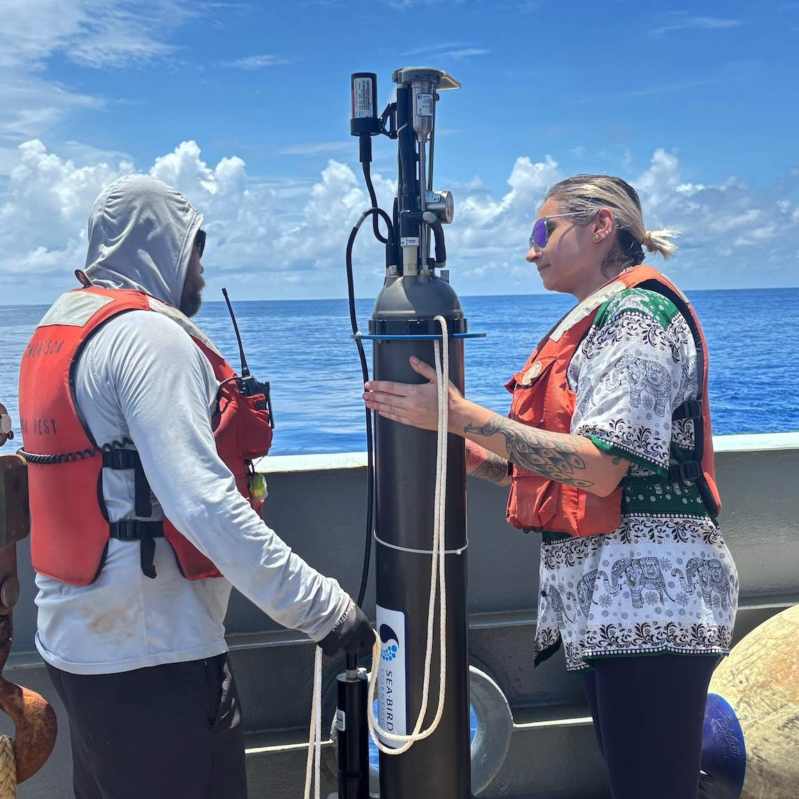 Marine heatwaves have hidden impacts on ocean food webs and carbon ...