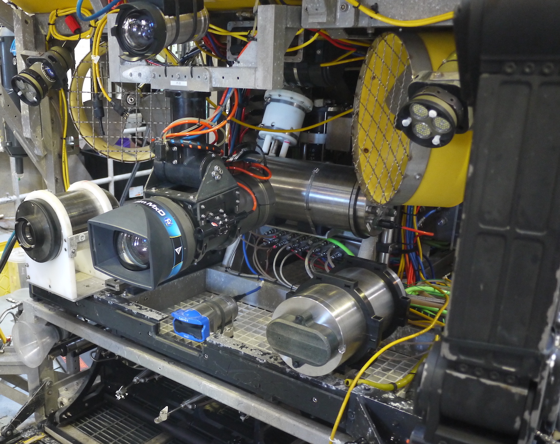 New underwater camera records stunning 4K video of deep-sea animals and ...