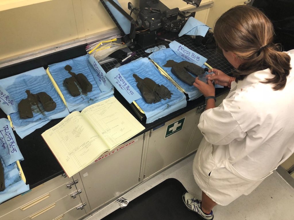 New research reveals that prehistoric seafloor pockmarks off the ...