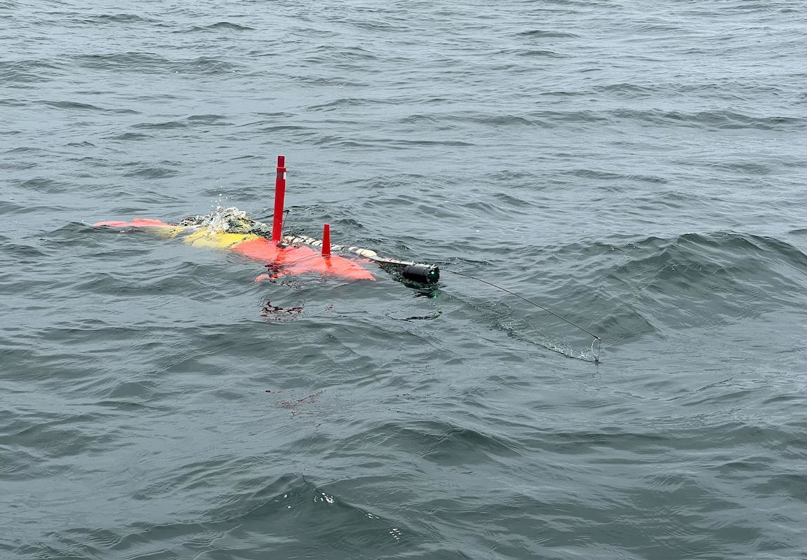 Innovative camera system provides a closer look at elusive ocean ...