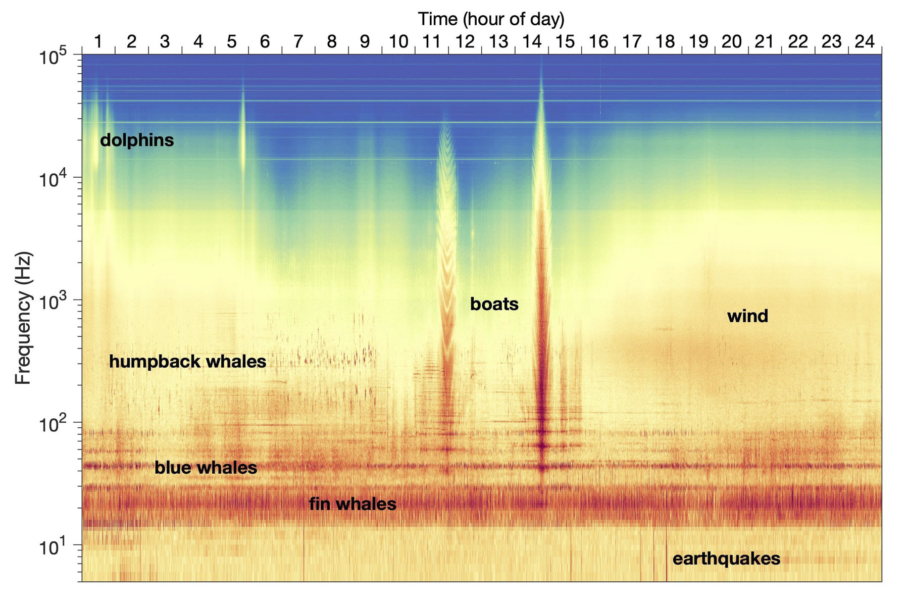Soundscape Visual Browser • MBARI