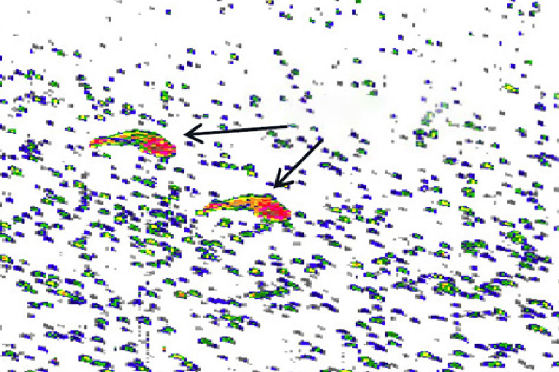 Acoustic Fingerprinting • MBARI