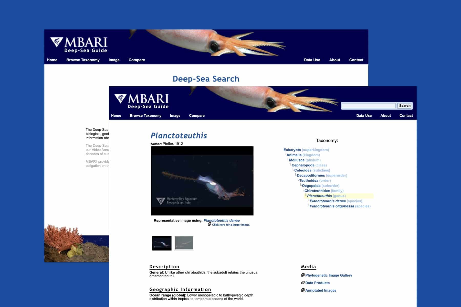 Deep-Sea Guide • MBARI