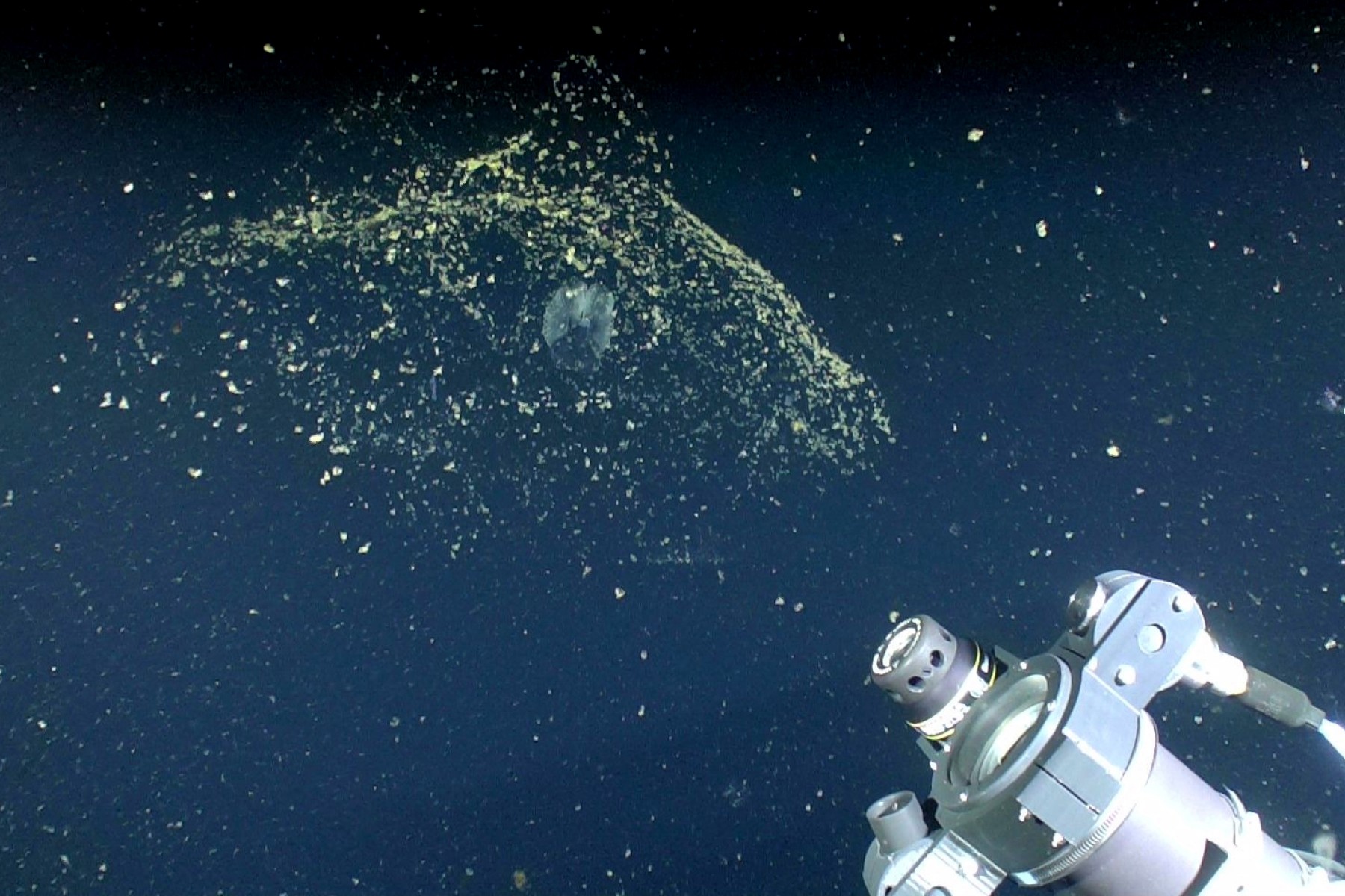 Deep Particle Image Velocimetry (DeepPIV) • MBARI