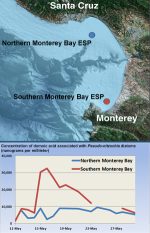 Unusually high concentrations of toxic algae detected in Monterey Bay ...