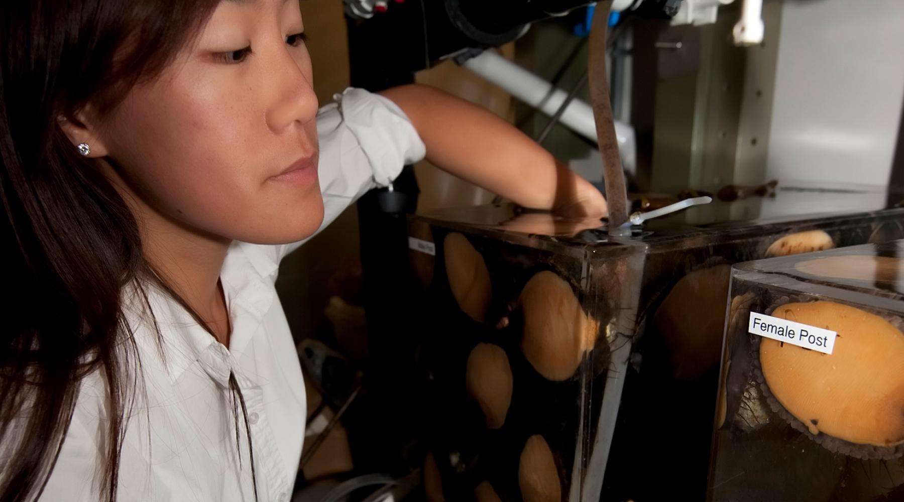 Internship Application • MBARI