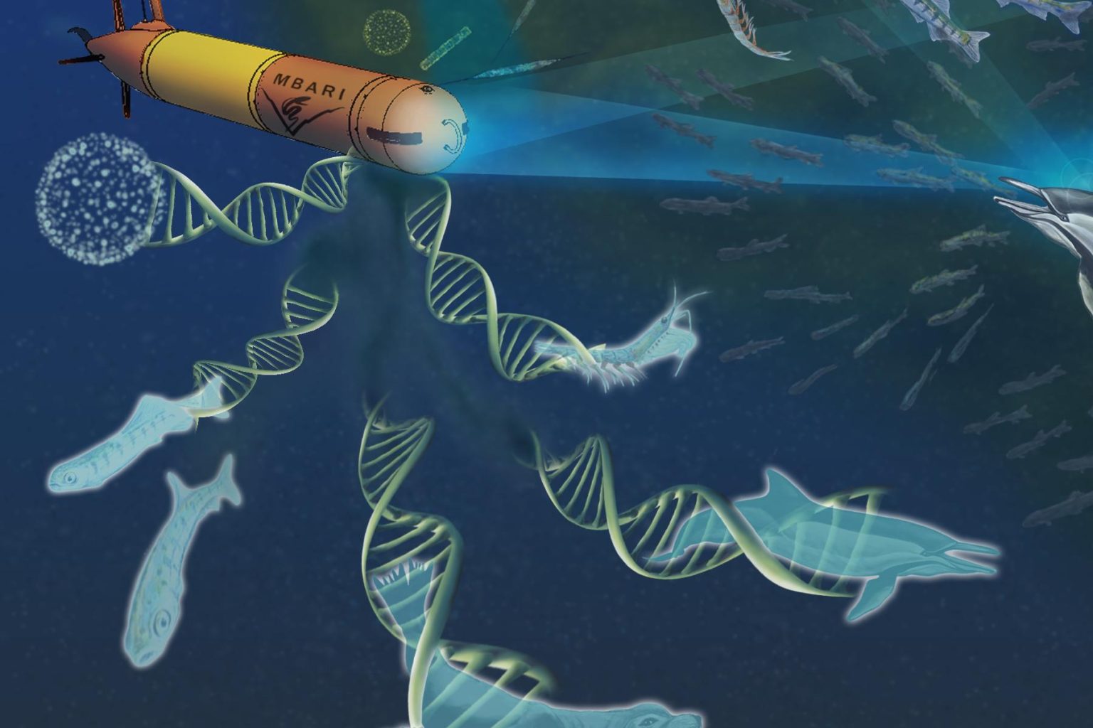 Biological Oceanography Group • MBARI