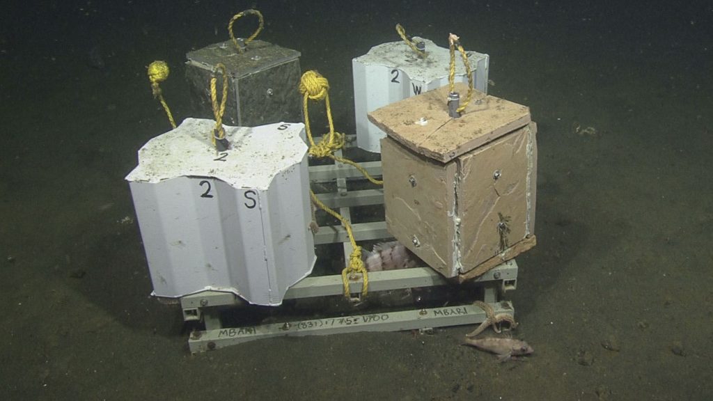 Lost Shipping Container Studies • MBARI