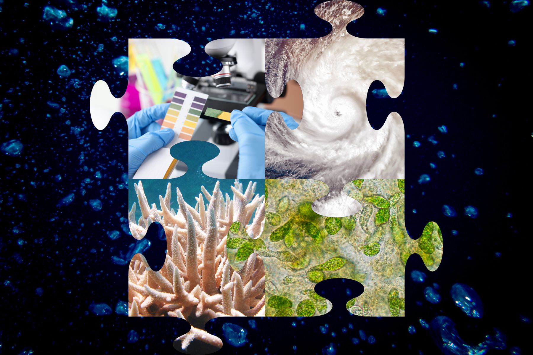 pH in the Ocean • MBARI