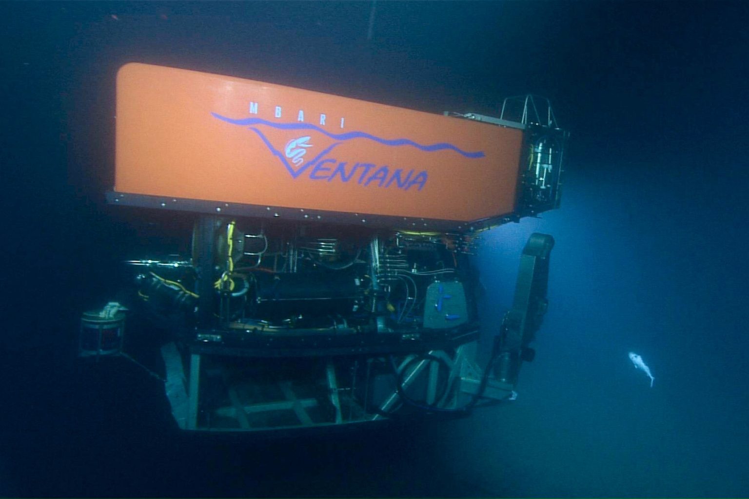 Blue Whale Observatory • MBARI