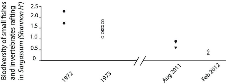 Sargasso Sea Research • MBARI